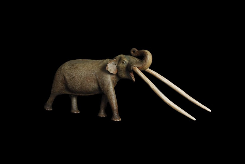 Anancus Resin Kit by Lu Feng Shan - Dan's Dinosaurs