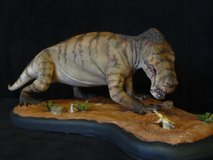Gorgonops Finished Model by Dan's Dinosaurs - Dan's Dinosaurs