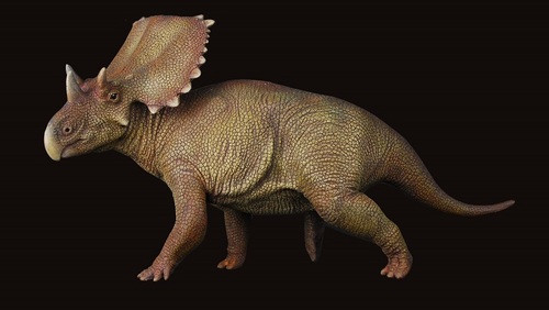 Chasmosaurus Resin Kit by Lu Feng Shan - Dan's Dinosaurs