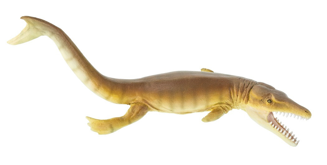 Plesiosuchus by Safari - Dan's Dinosaurs