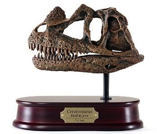Smilodon Skull Replica by DinoStoreus - Dan's Dinosaurs