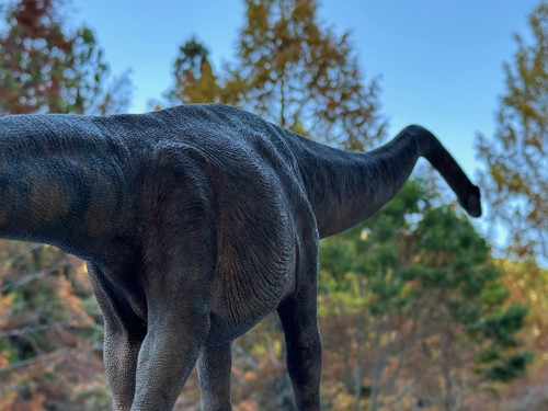 Mamenchisaurus Resin Kit by Lu Feng Shan - Dan's Dinosaurs