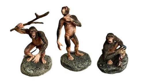 Australopithecus Tribe Resin Kit by Klatt - Dan's Dinosaurs