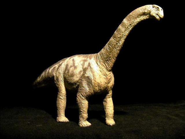 Diplodocus by Carnegie - Dan's Dinosaurs