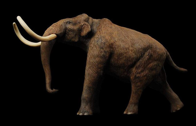 Steppe Mammoth Resin Kit by Lu Feng Shan - Dan's Dinosaurs