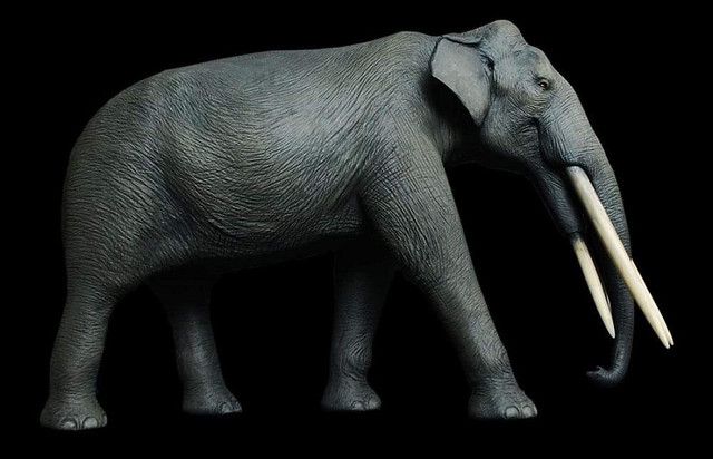 Steppe Mammoth Resin Kit by Lu Feng Shan - Dan's Dinosaurs