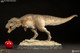 Allosaurus vs. Camarasaurus by Sideshow (2015 Version) - Dan's Dinosaurs