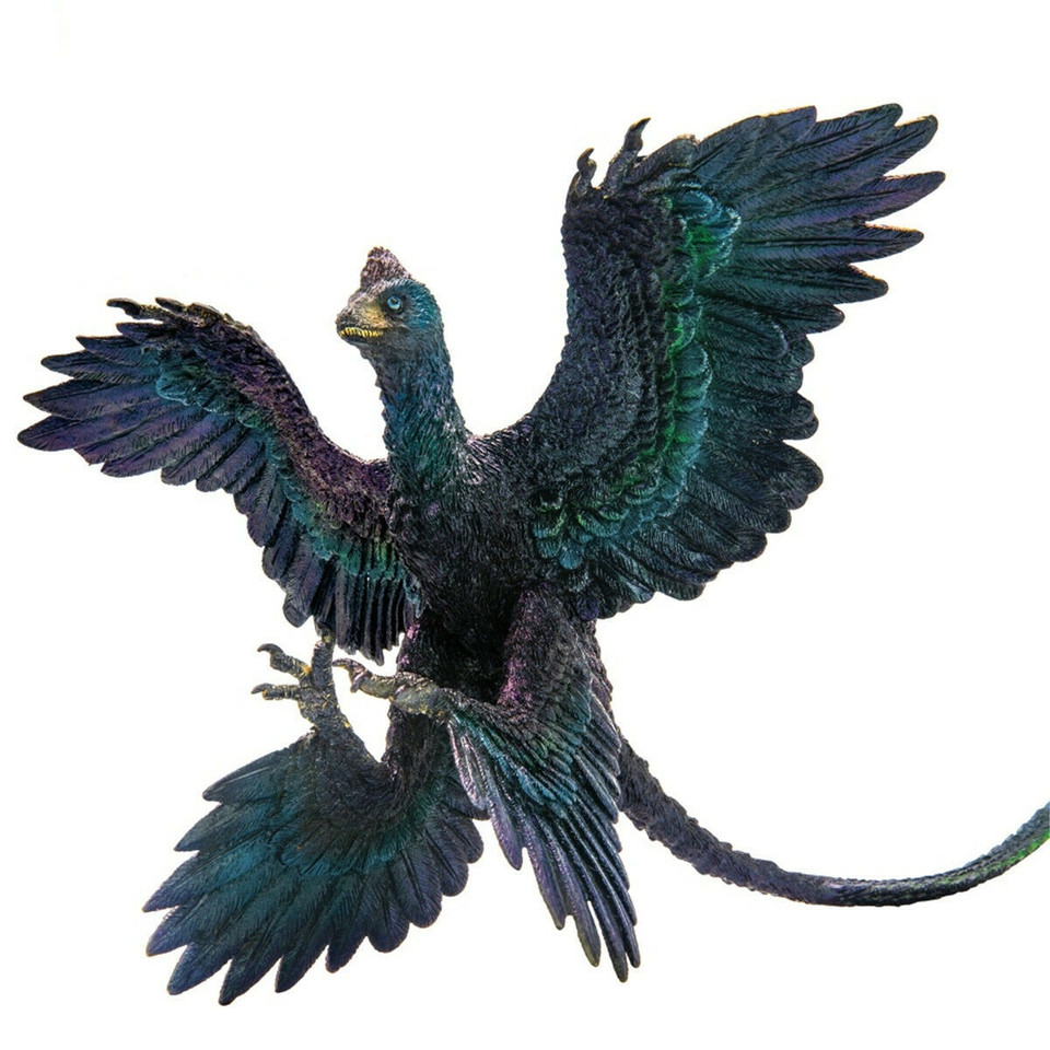 Microraptor (2020 version) by PNSO - Dan's Dinosaurs