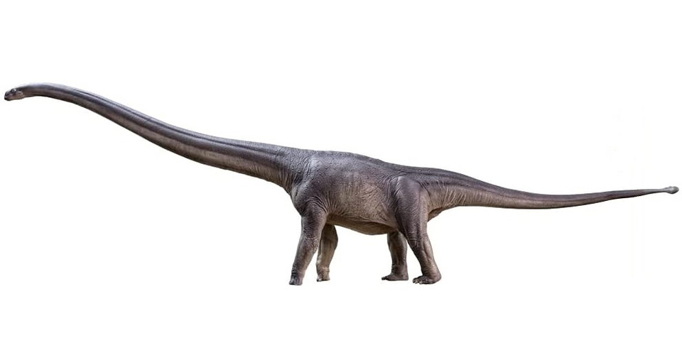Lingwulong by PNSO - Dan's Dinosaurs