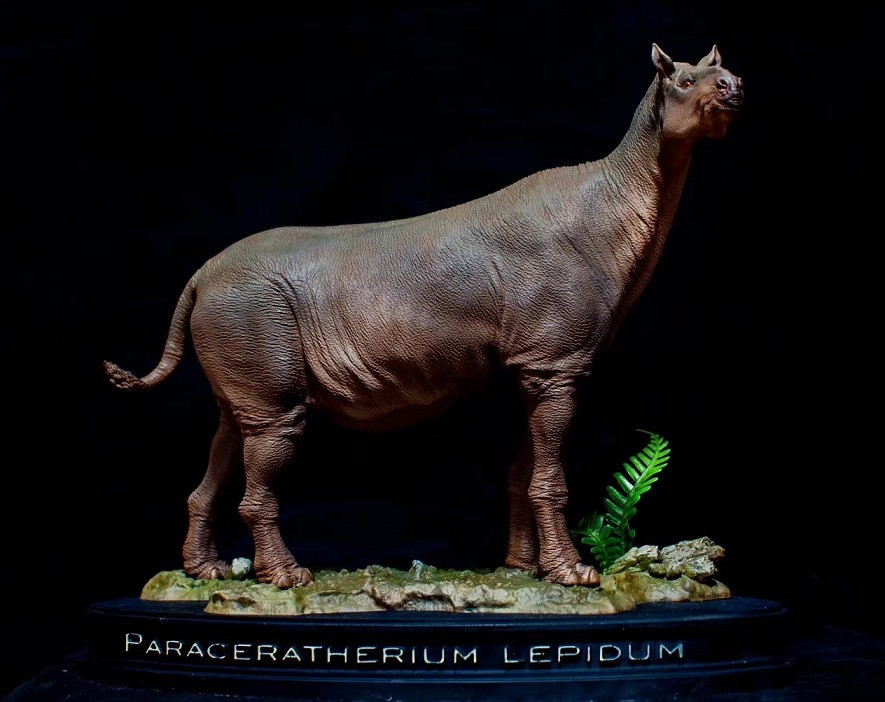 Paraceratherium Resin Kit by Munive - Dan's Dinosaurs