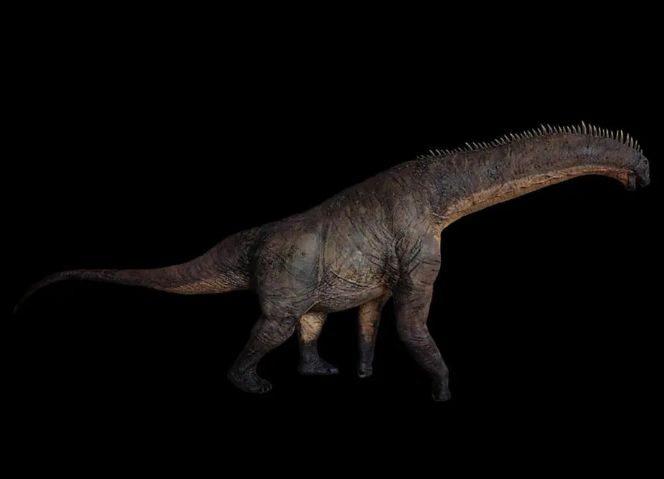 Models - Page 1 - Dan's Dinosaurs