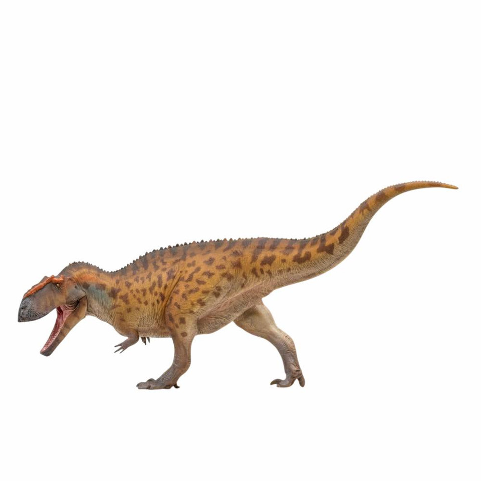 Figures - PNSO - Page 1 - Dan's Dinosaurs