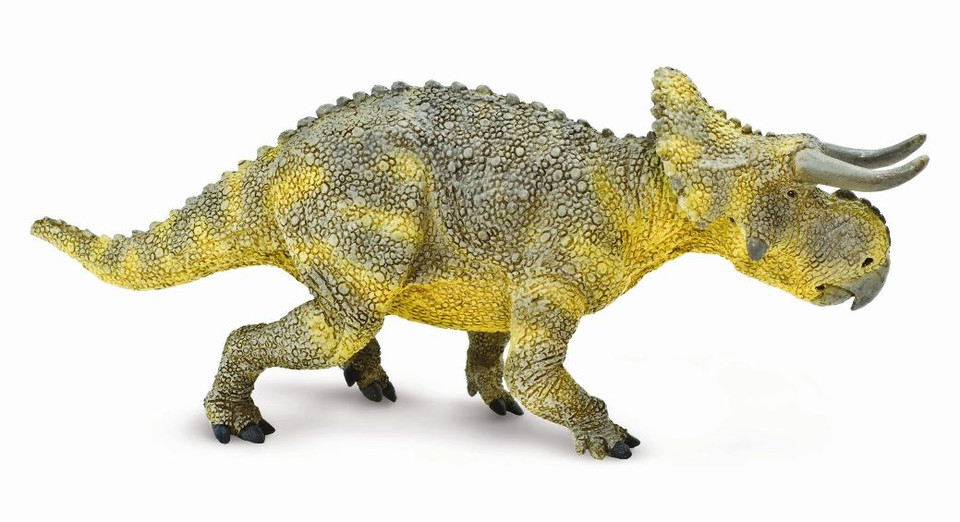 Vagaceratops by Wild Safari - Dan's Dinosaurs