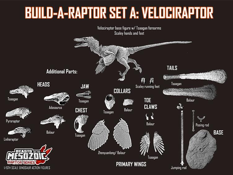 Build-a-Raptor Velociraptor Set by Beasts of the Mesozoic - Dan's Dinosaurs