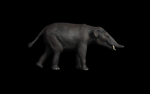 Palaeomastodon Resin Kit by Lu Feng Shan - Dan's Dinosaurs