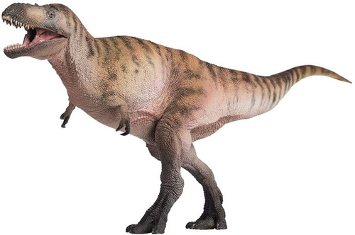 Nanotyrannus by PNSO - Dan's Dinosaurs