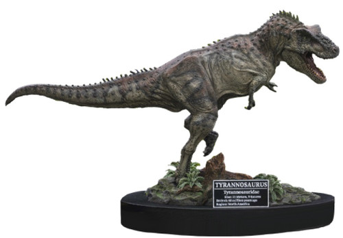 Tyrannosaurus by Wonders of the Wild - Dan's Dinosaurs