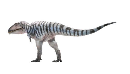 Meraxes by PNSO - Dan's Dinosaurs