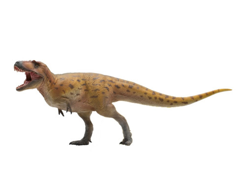Lythronax by PNSO - Dan's Dinosaurs