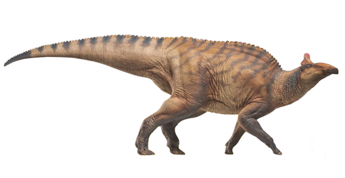 Edmontosaurus by PNSO - Dan's Dinosaurs