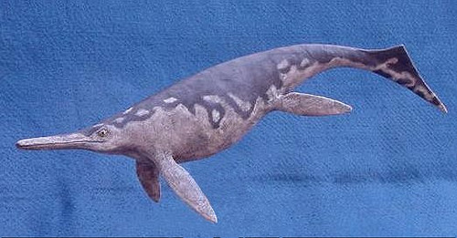 Shonisaurus Resin Kit by Salas - Dan's Dinosaurs