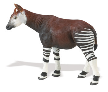 Okapi by Safari Wildlife Wonders - Dan's Dinosaurs