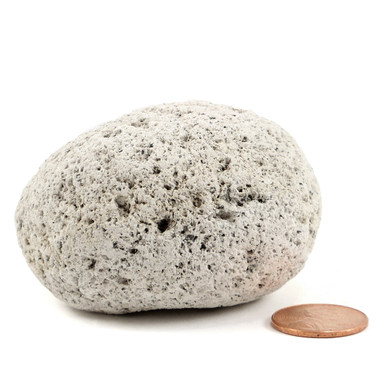 Pumice Stone