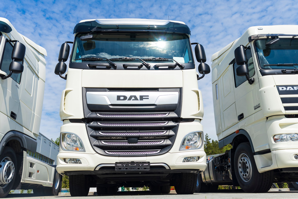 Mastering Reflections: Your Guide to Choosing the Perfect Mirror for ...