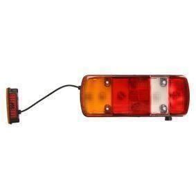 MAN TGS Rear Combination Tail Light - Low Prices!