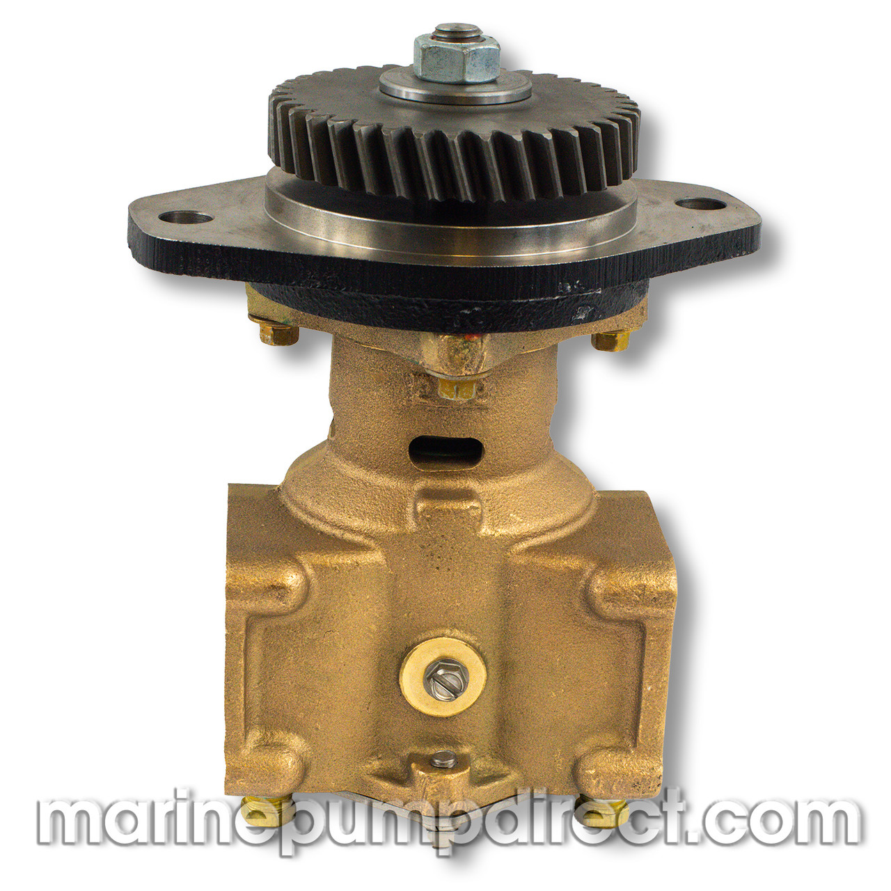 Sherwood Pump P1730C - Marine Pump Direct