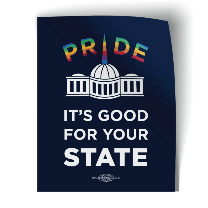 Pride Sticker Set (Combo Pack of Two!) - DLCC Webstore