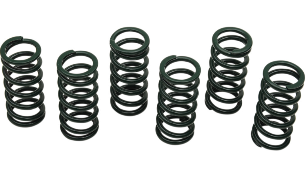 Heavy Duty Clutch Spring Kit - Star Rider Performance