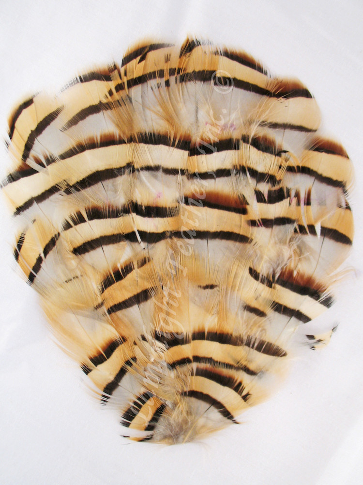 Feather Pads for Sale Lamplight Feather