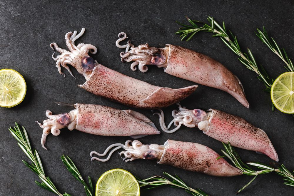 Cleaned Squid, Tubes Only 5-8 Inch (5 Lb.) | Robert Wholey Company