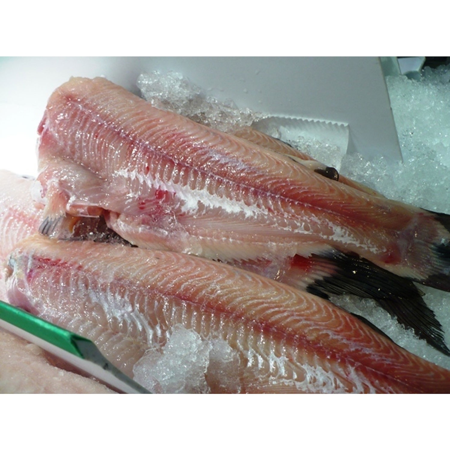 Dressed Cat Fish (2 Lb. Avg) | Robert Wholey Company