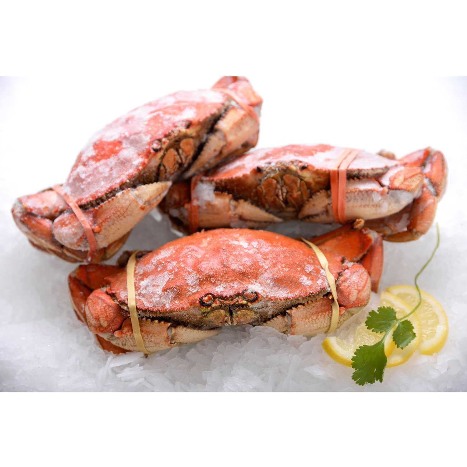 Crab Meat | Robert Wholey Company