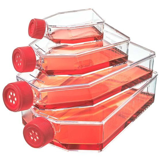 Diamond SureGro Cell Culture Flask, Tissue Culture Treated, 75cm2, Vent ...