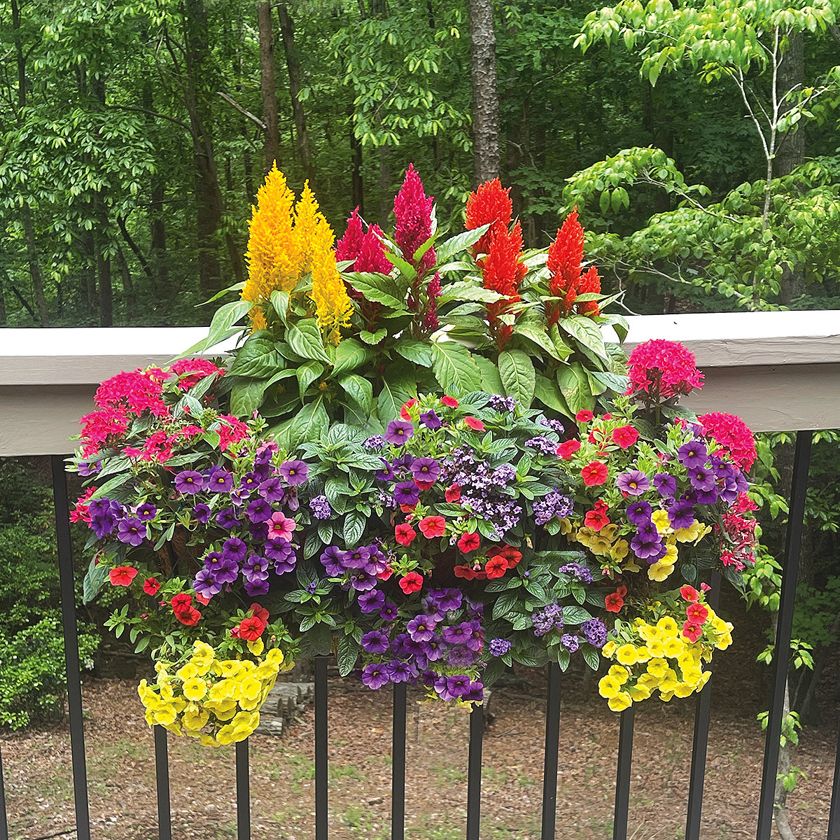 24 inch Window Box Planter Liner Set |Window Box Planters | Kinsman Garden