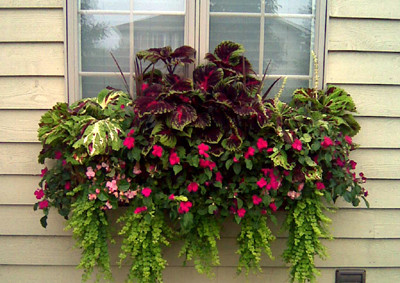 24 inch Window Box Planter Liner Set |Window Box Planters | Kinsman Garden
