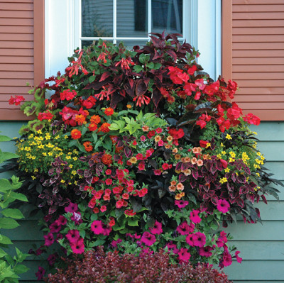 30 inch Window Box Planter Liner Set |Window Box Planters | Kinsman Garden