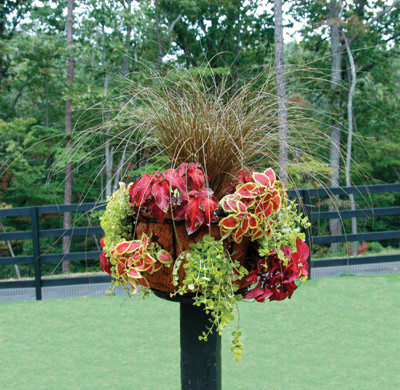 20 inch Single Tier Basket Planter Liner Set | Basic Basket Planters ...