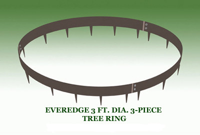 EverEdge Tree Rings | Long-Lasting Metal Tree Ring Solution