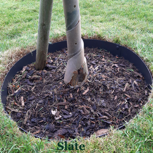 EverEdge Tree Rings | Long-Lasting Metal Tree Ring Solution