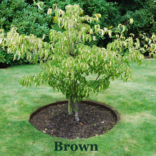 EverEdge Tree Rings | Long-Lasting Metal Tree Ring Solution