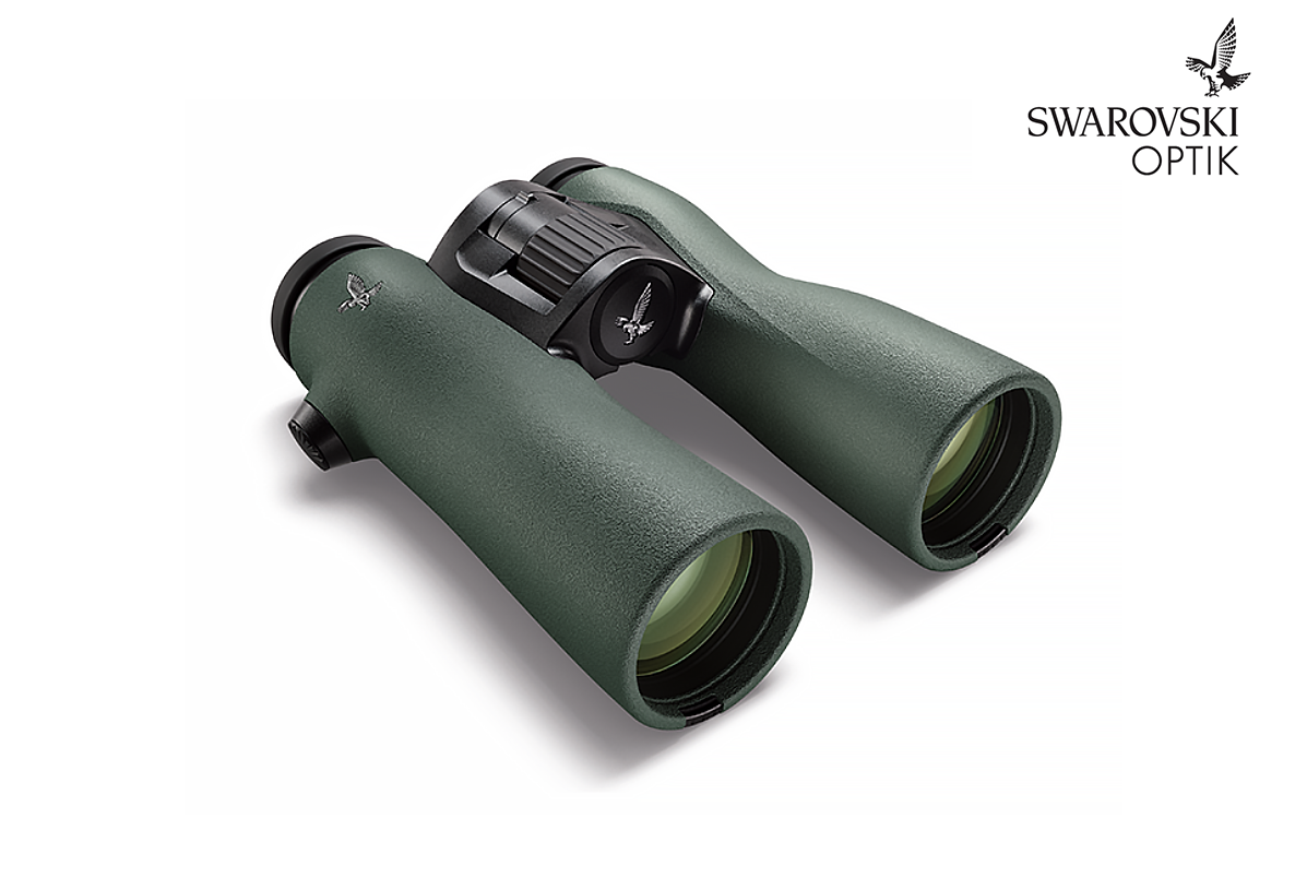 Swarovksi Binoculars | NL Pure 8x42 | Red Hawk Rifles