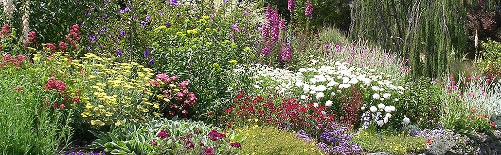 Groundcovers creative, simple and easy landscape solutions - Bloomin ...