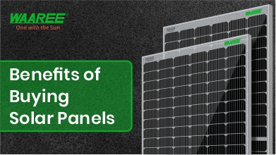 Embracing the Sun: Unveiling the Benefits of Buying Solar Panels ...