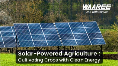 Solar-Powered Agriculture: Cultivating Crops with Clean Energy - Waaree ...