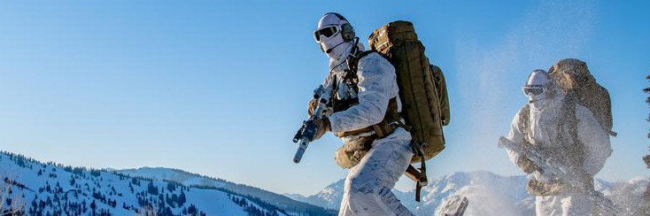 SnowHawk Ballistic Goggles | Revision Military