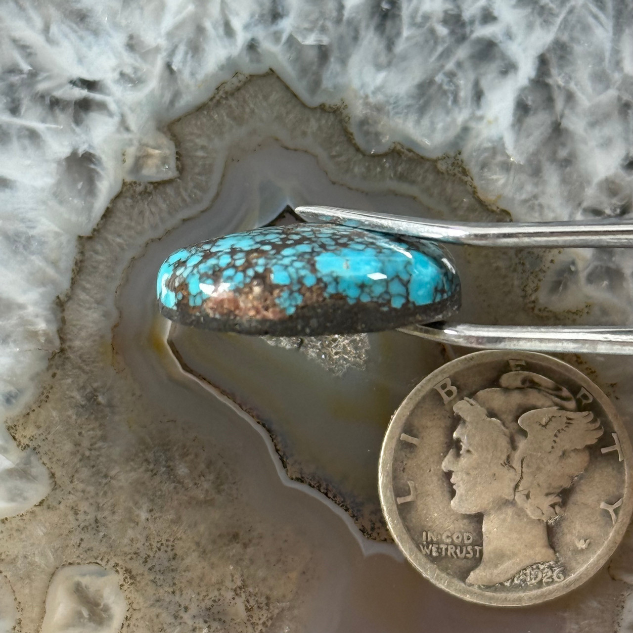 Two-Tone Bisbee Spiderweb Turquoise Cabochon-509 - Durango Silver Company